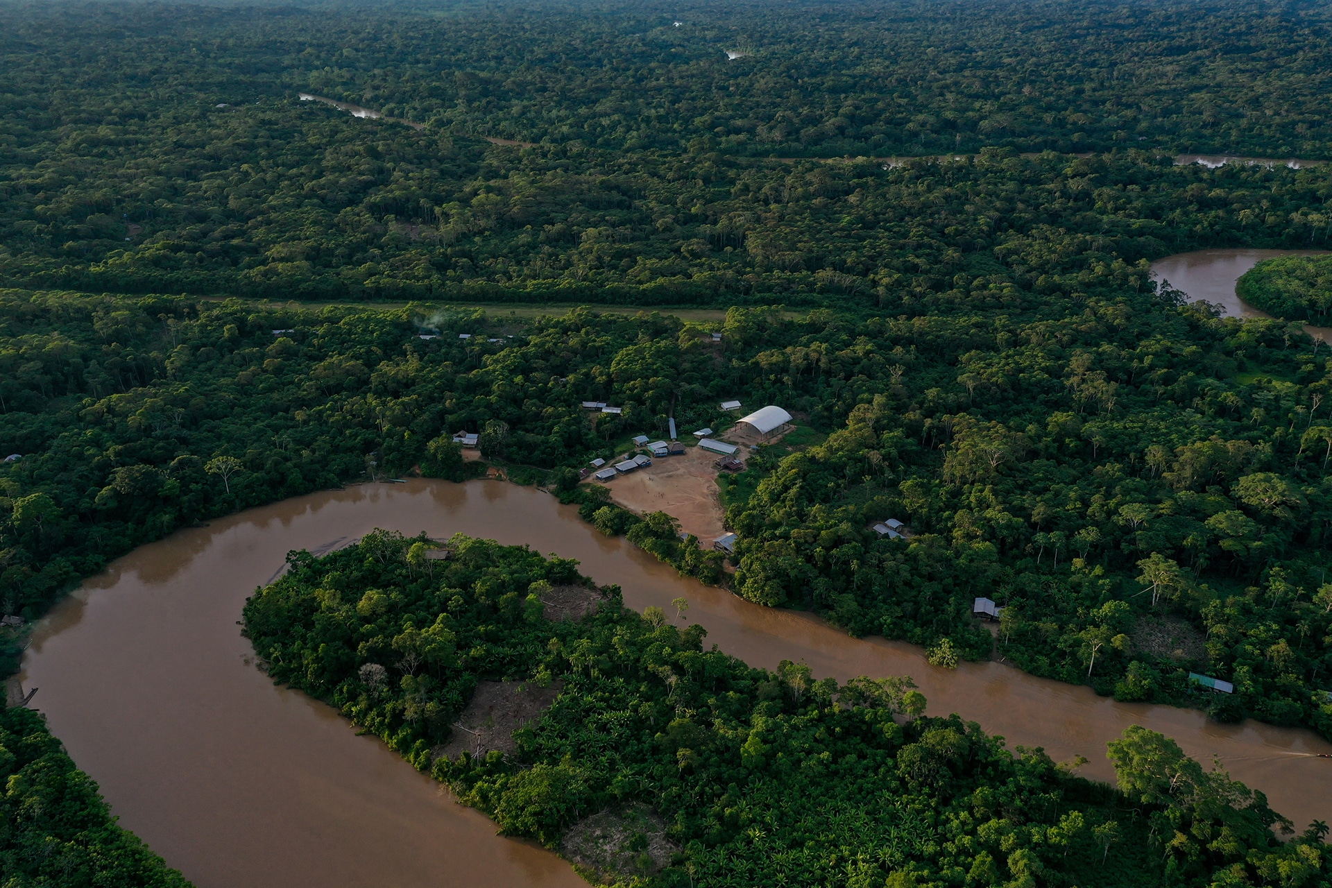 LA FUNCIÓN DE LOS BOSQUES INUNDABLES EN LA AMAZONIA - CONVIVIMOS digital